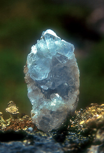 Celestite Gem Elixir – Alaskan Essences Online Store