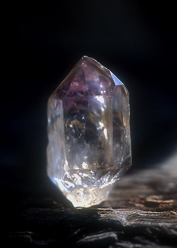 Scepter Amethyst Gem Essence – Alaskan Essences Online Store